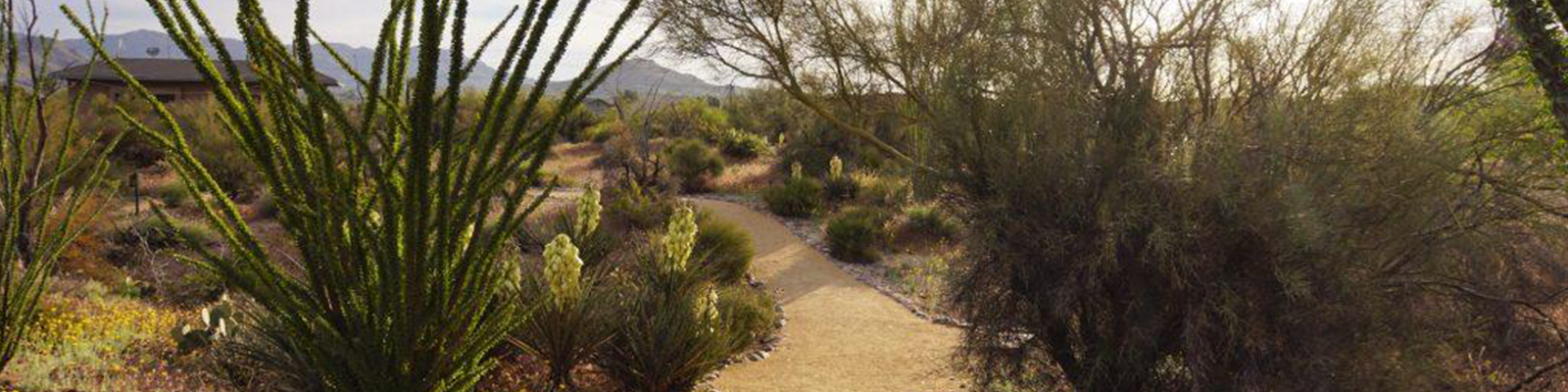 Meditation Walking Paths • Spirit In the Desert